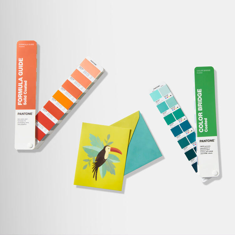 Video :: Calibrartion :: Colour calibration :: PANTONE : COATED COMBO ...